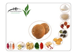 HORIZON BUSINESS SOLUTIONS (HBS)-COMPANY PROFILE | PDF