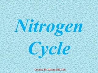 01_Nitrogen Cycle | PPT
