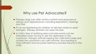 courthouse dogs | PPTX