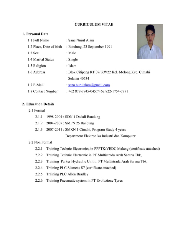 Curriculum Vitae Engineer | PDF