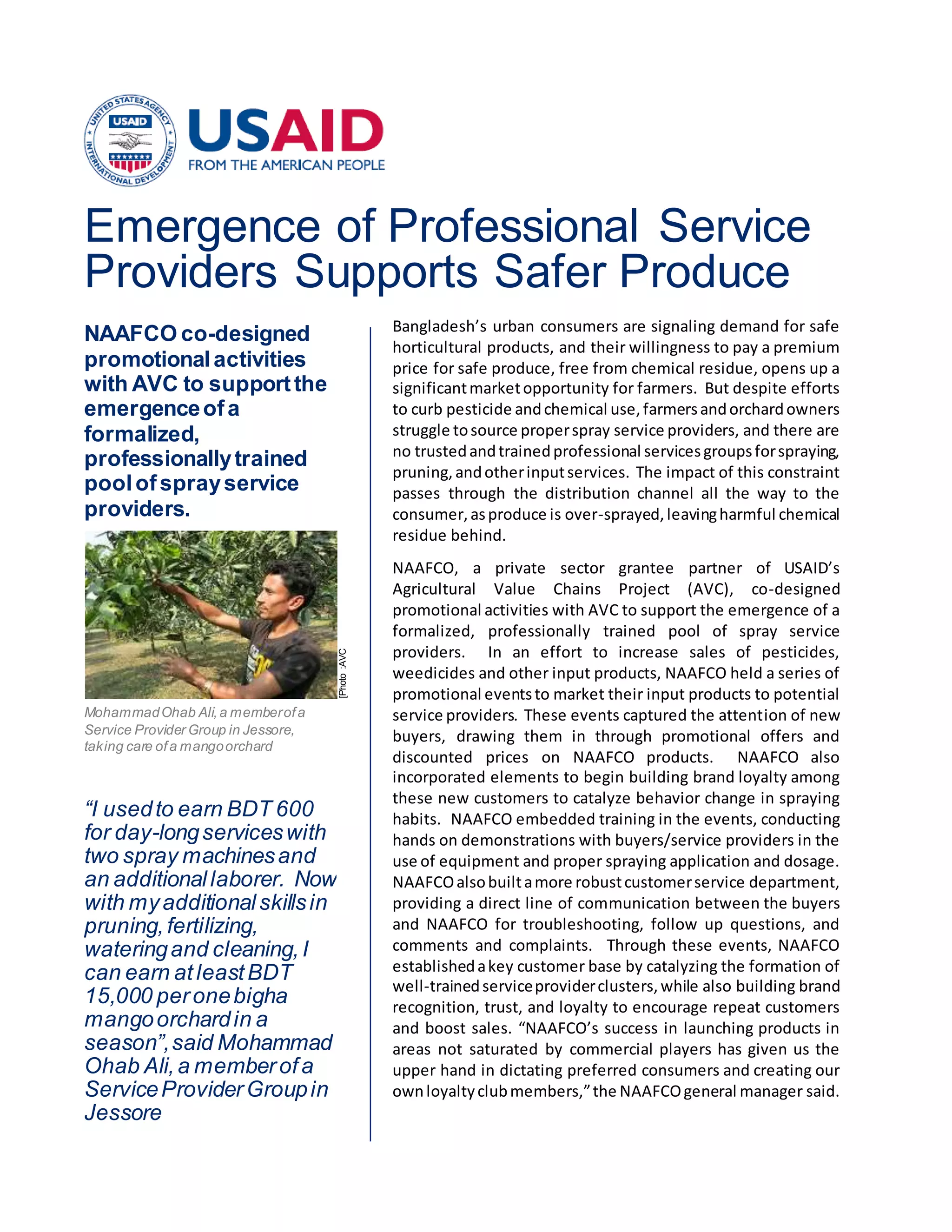 Emergence of Professional Service Providers | DOCX