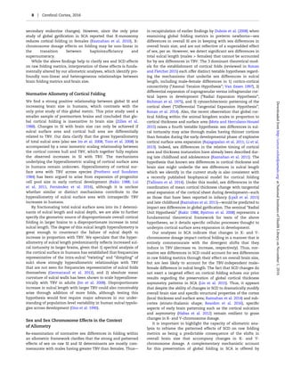 Final Cerebral Cortex Paper | PDF | Brain and Nervous System Disorders | Diseases and Conditions