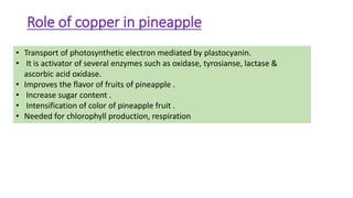 Nutrient management in Pineapple | PPTX