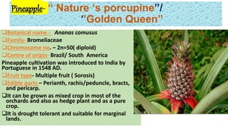 Nutrient management in Pineapple | PPTX