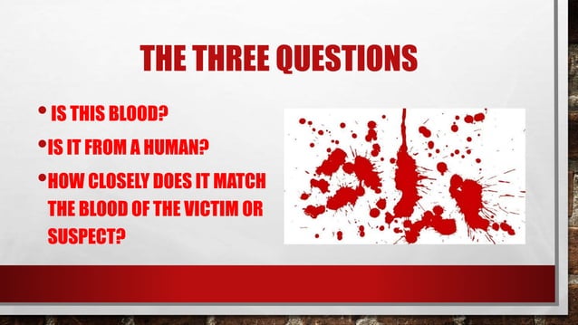 Chapter 13 Presentation | PPT