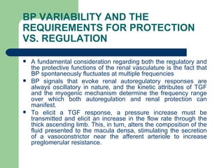 907472 renal-autoregulation | PPT