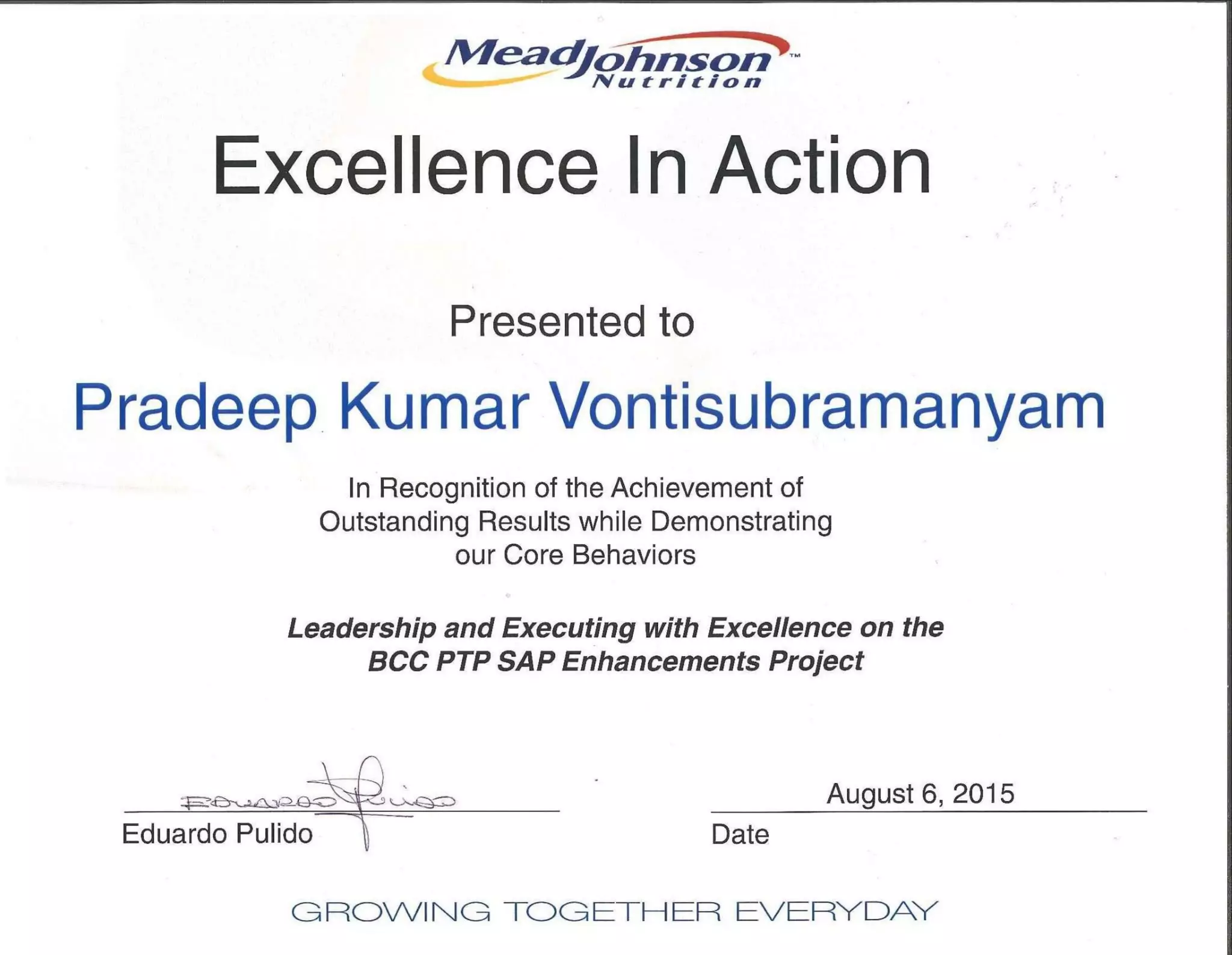 Excellence In Action | PDF
