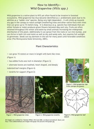 Guide to Assessing Invasive Plants | PDF