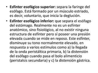 90918603-secrecion-esofagica.pptx