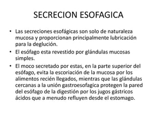 90918603-secrecion-esofagica.pptx