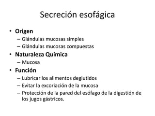 90918603-secrecion-esofagica.pptx