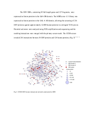 The Role of Epstein Barr Virsus in Oncogenesis | PDF
