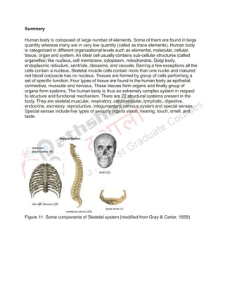 9098 et et_1.3_system_physiology (1) (1) | PPTX | Endocrine and ...
