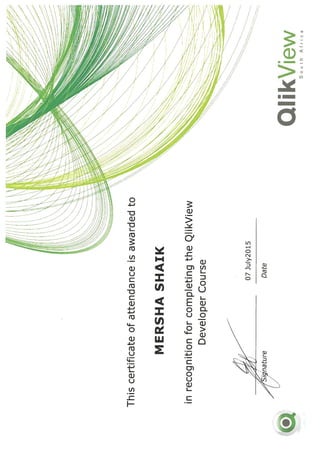 QlikView Developer Certificate | PDF