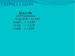 TCA cycle also known as the Krebs cycle. | PPT