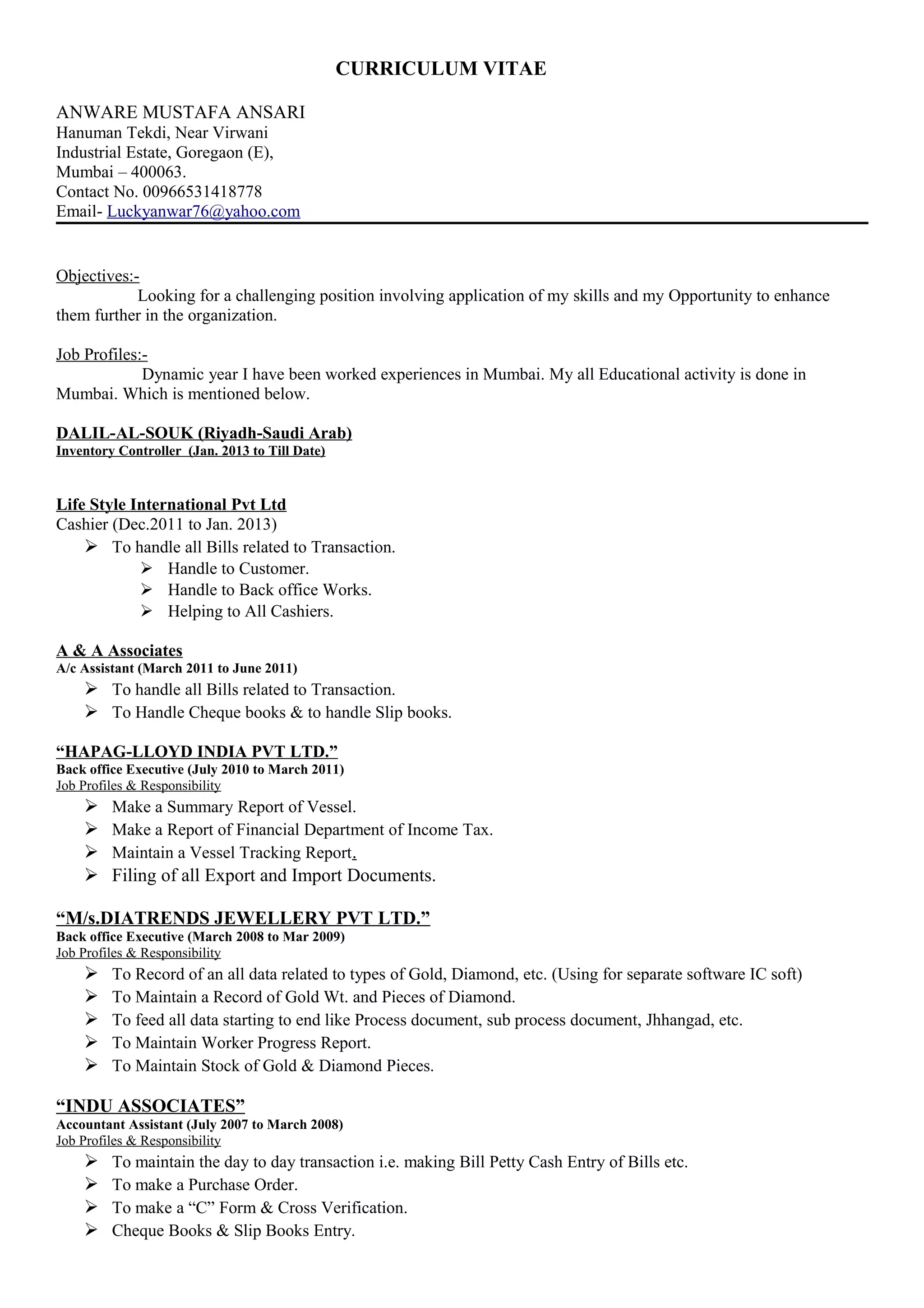 CURRICULUM VITAE (Inventory) | PDF