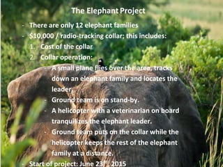 Elephant project | PPT