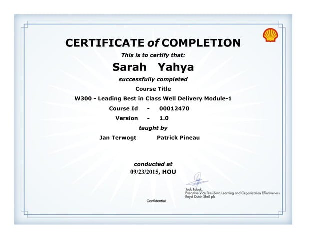 W300 Certificate | PDF