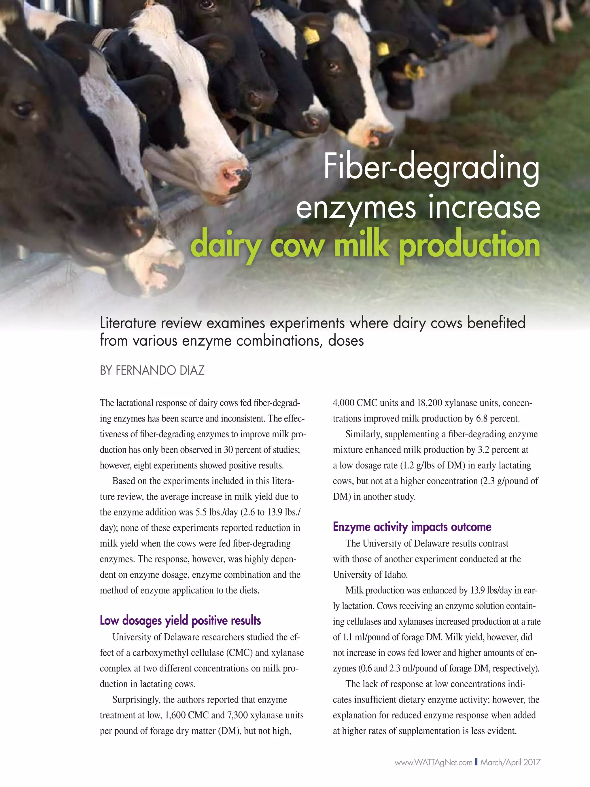 Fiber degrading enzymes increase dairy cow milk production | PDF ...
