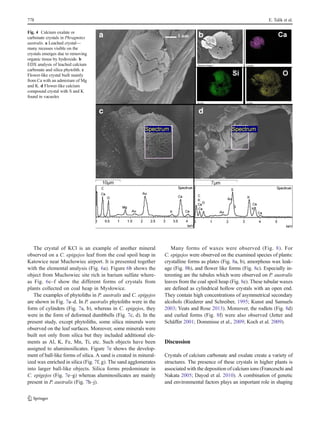Biominerals and waxes of Calamagrostis epigejos and Phragmites ...