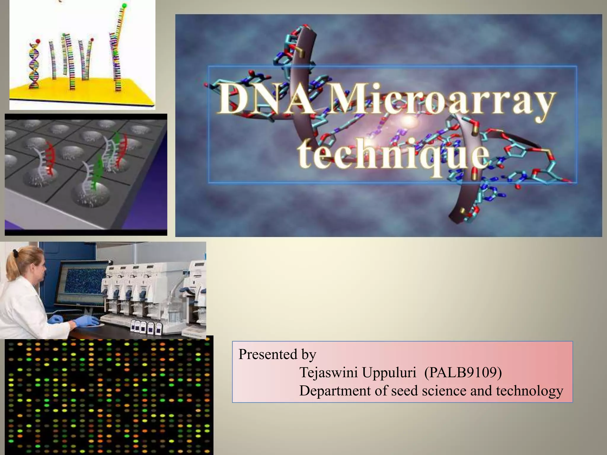 Microarray technique | PPTX