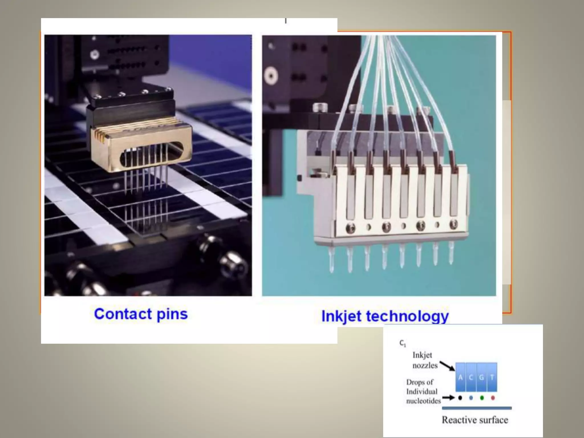 Microarray technique | PPTX