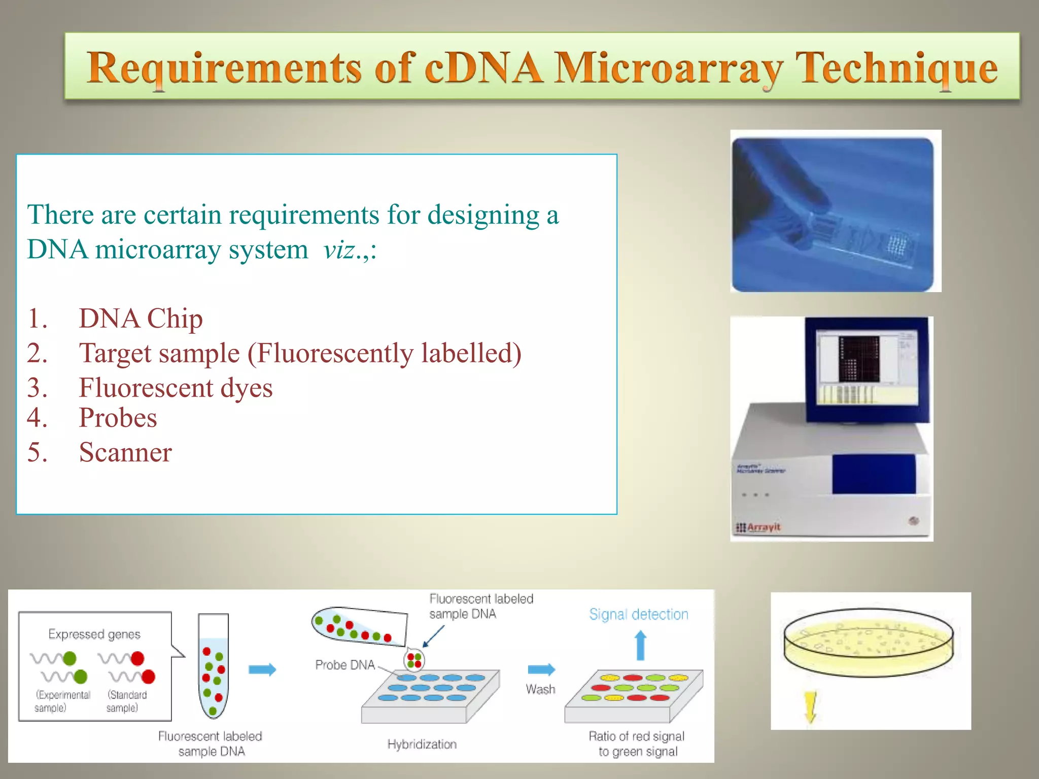 Microarray technique | PPTX