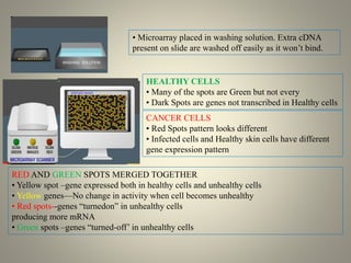 Microarray technique | PPTX