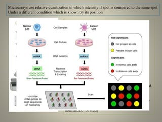 Microarray technique | PPTX