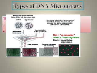 Microarray technique | PPTX | Chemistry | Science