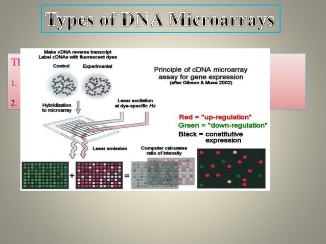 Microarray technique | PPTX | Chemistry | Science