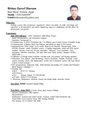 Bishoy Zareef CV P (2) | PDF