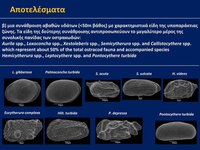 Μια πλούσια πανίδα οστρακωδών από το Ακρωτήρι Καλογεράς | PPT