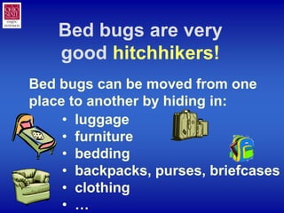 1 Bed Bugs 101 | PPTX