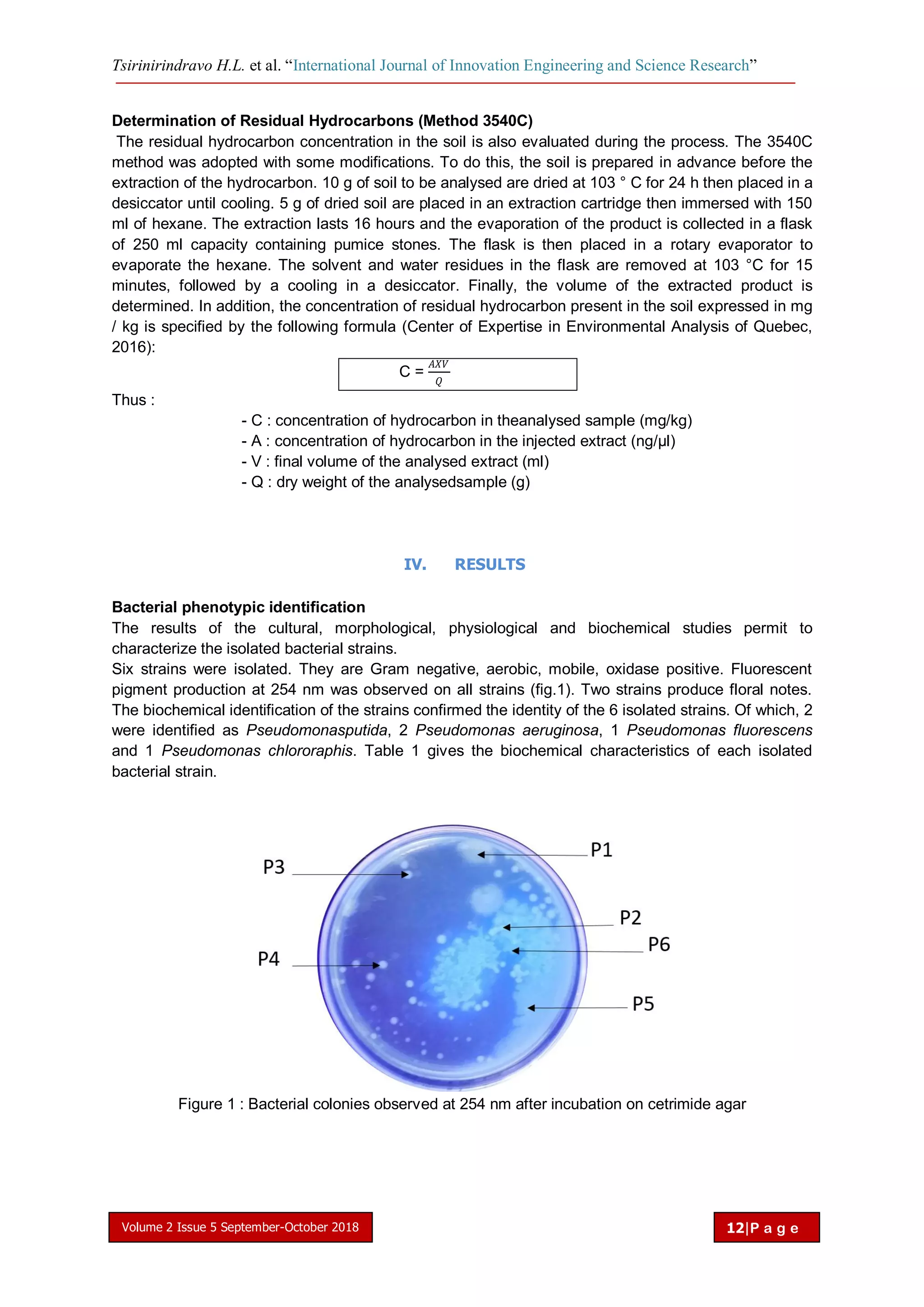Bioremediation of soils polluted by petroleum hydrocarbons by Pseudomonas putida | PDF
