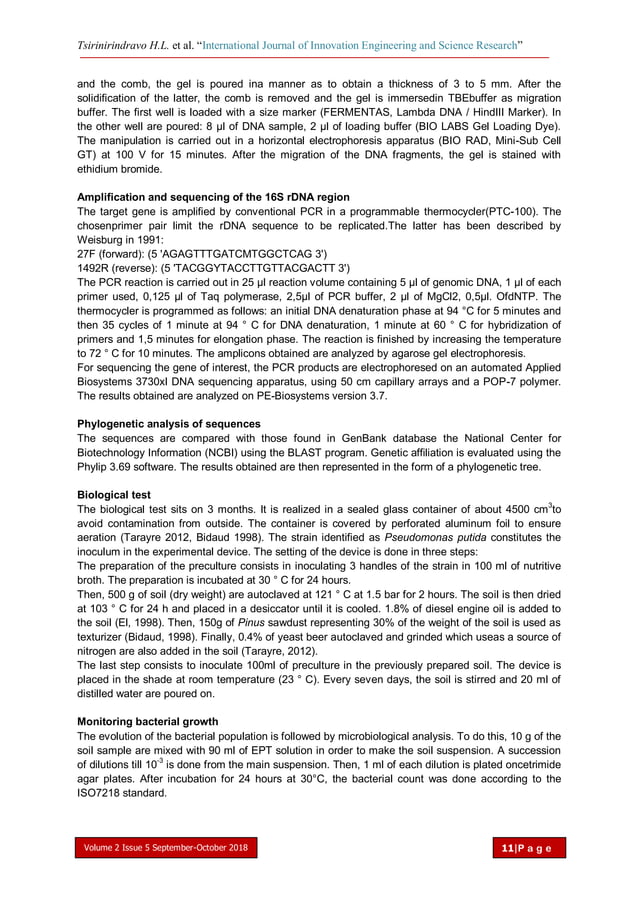 Bioremediation of soils polluted by petroleum hydrocarbons by Pseudomonas putida | PDF