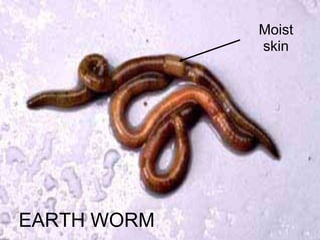 BREATHING publi | PPT