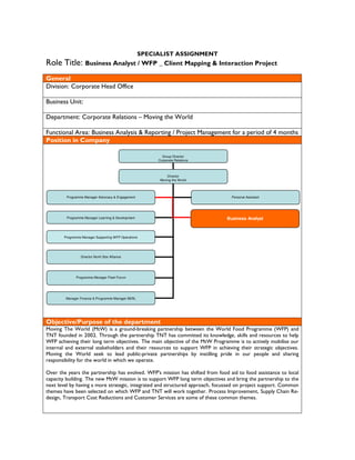 WFP Specialist Assignment_ JD Business Analyst | PDF