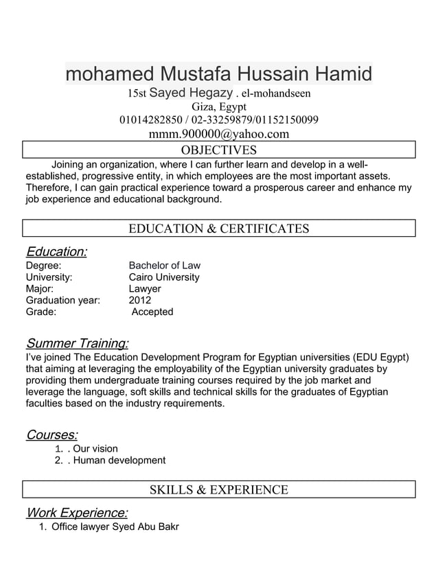 Mohamed CV | PDF