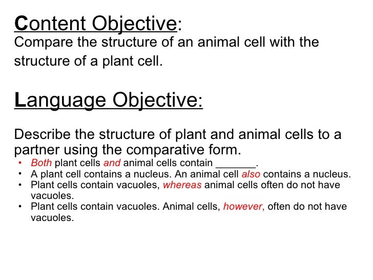 language and Content objectives
