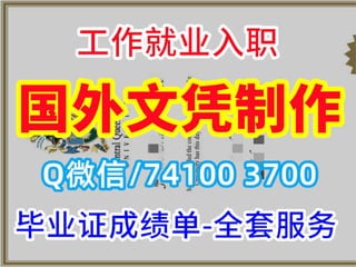 OU Master Diploma | PDF