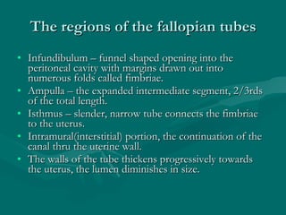 914909 female-reproductive | PPT