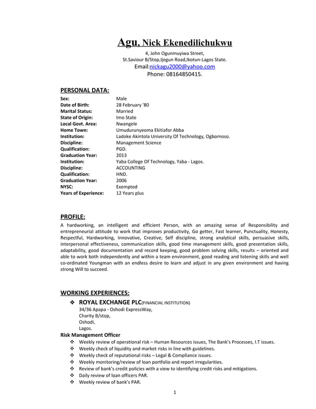 Nick CV | DOC | Business Accounting & Finance | Business
