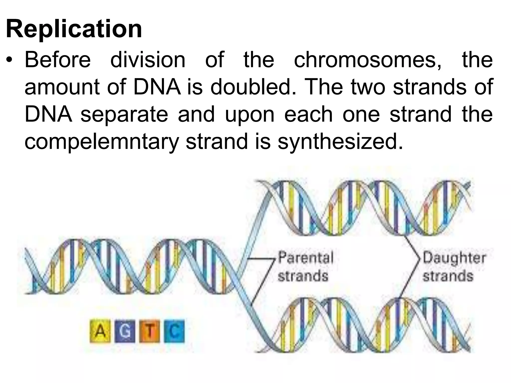 Nucleoproteins - Biochemistry | PPTX