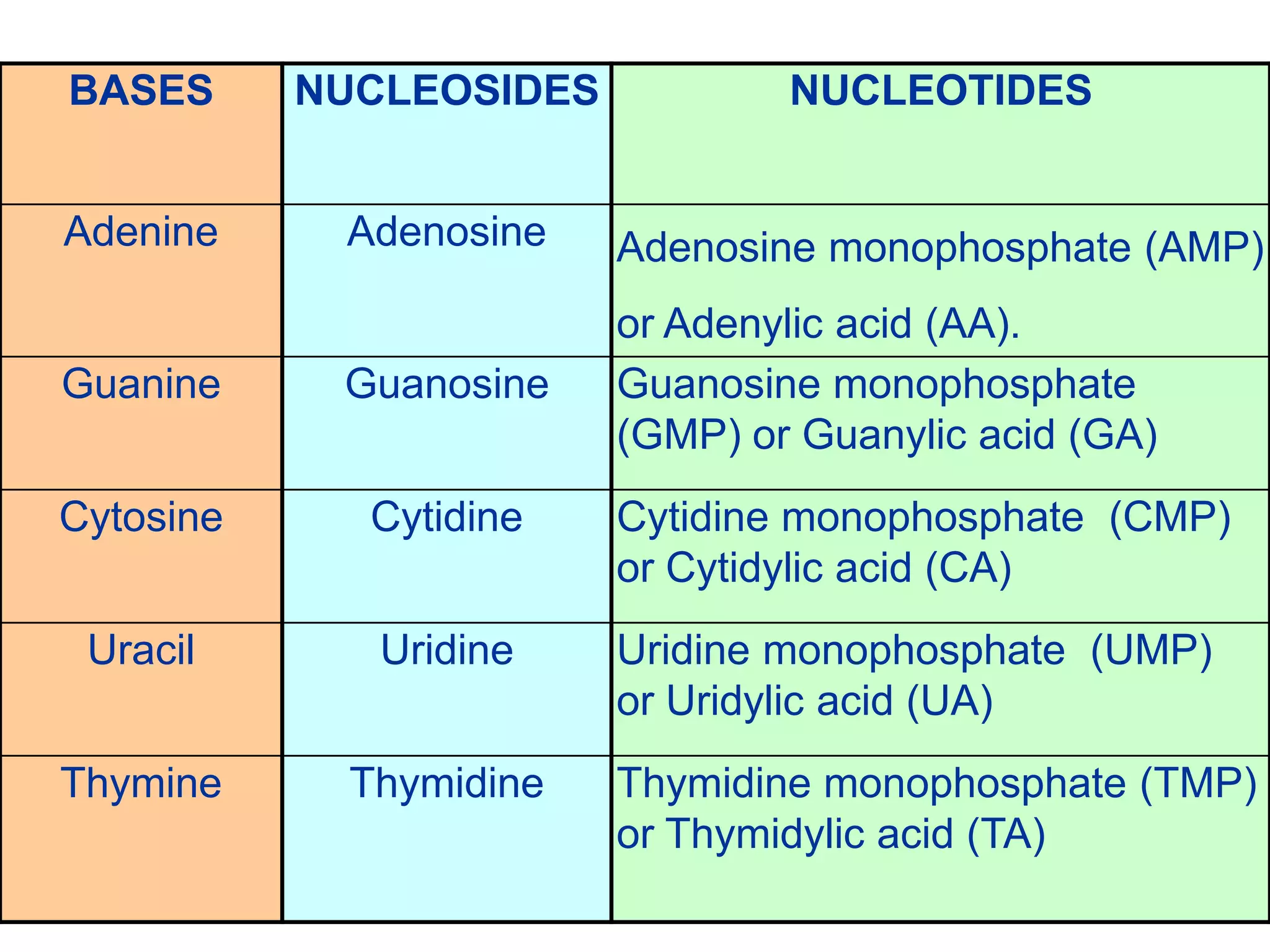 Nucleoproteins - Biochemistry | PPTX