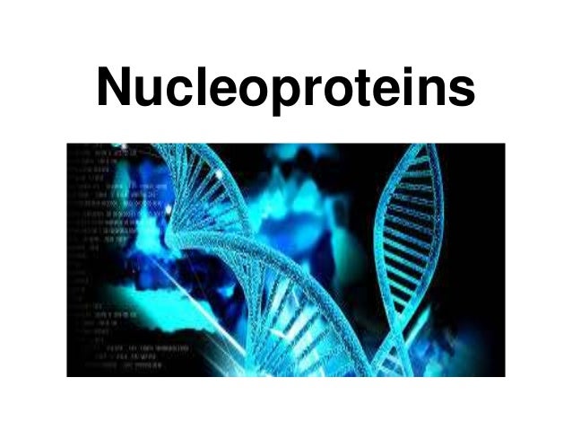 Nucleoproteins - Biochemistry
