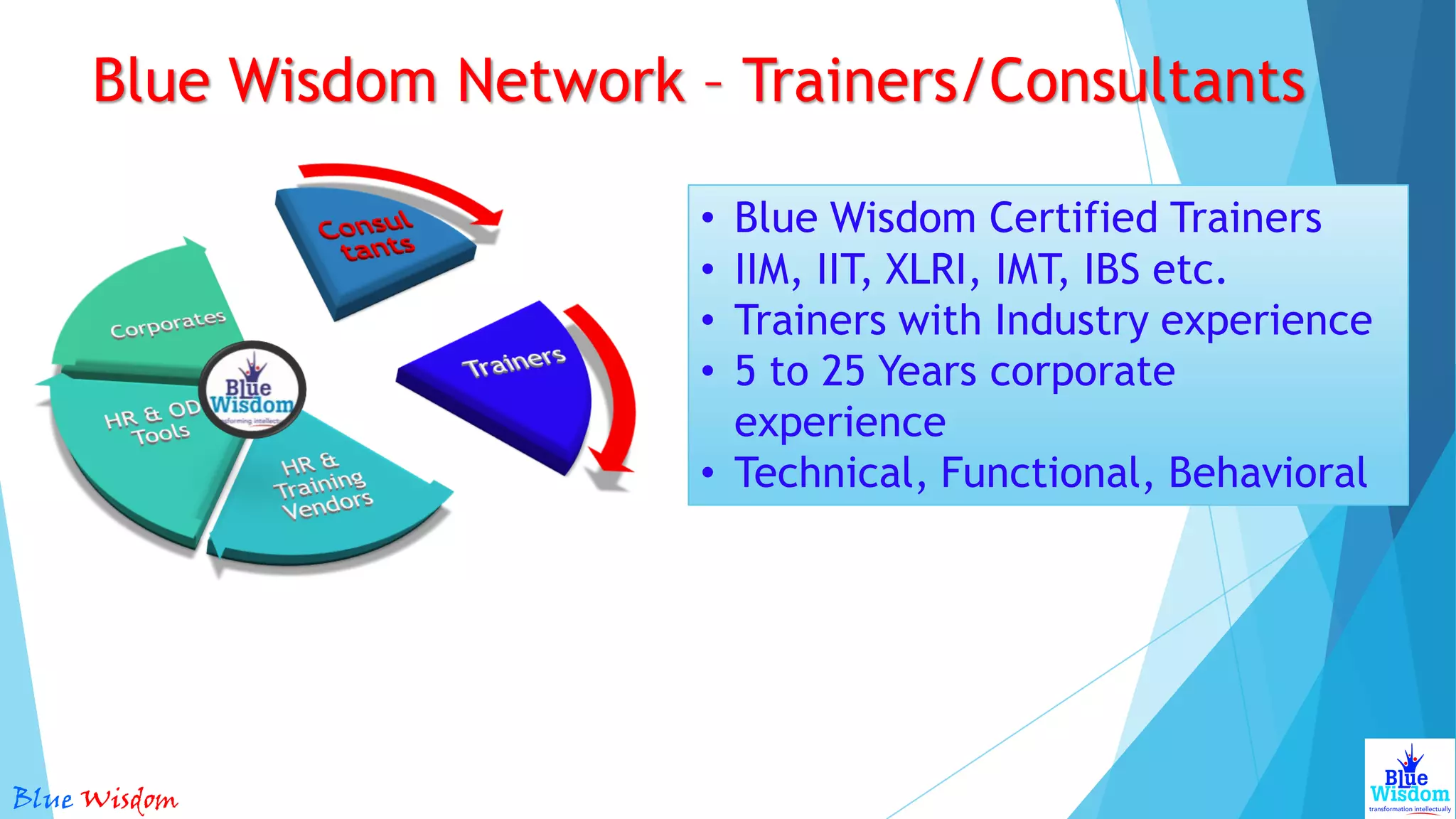 Blue Wisdom Pvt Ltd Presentation | PDF