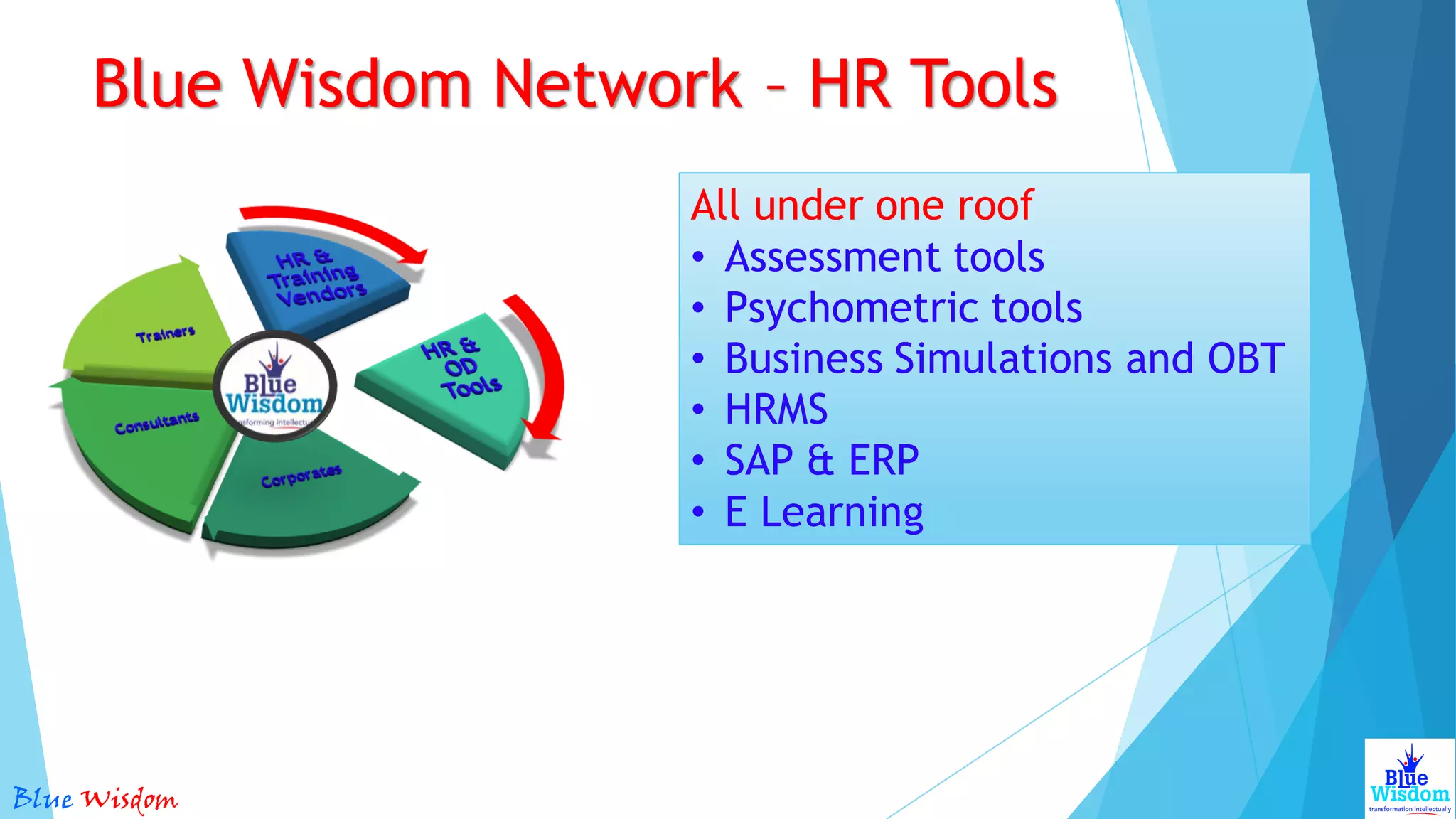 Blue Wisdom Pvt Ltd Presentation | PDF