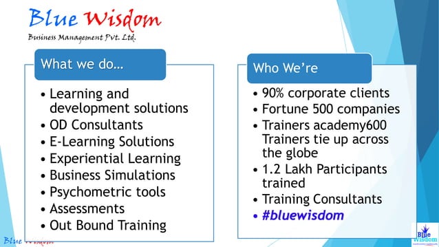 Blue Wisdom Pvt Ltd Presentation | PDF
