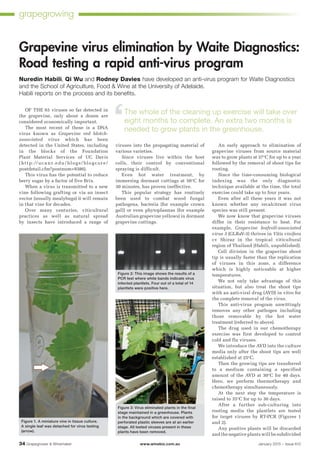 Virus elimination paperv612p34-35 | PDF